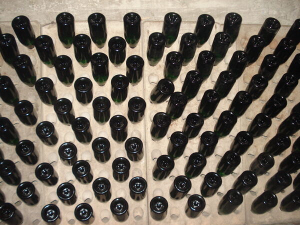 Bodegas Pinord Winery Shines Hope for Increasing Spanish Wine Tourism ...