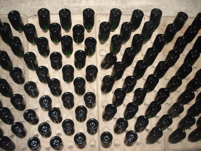 Bodegas Pinord Winery Shines Hope for Increasing Spanish Wine Tourism ...