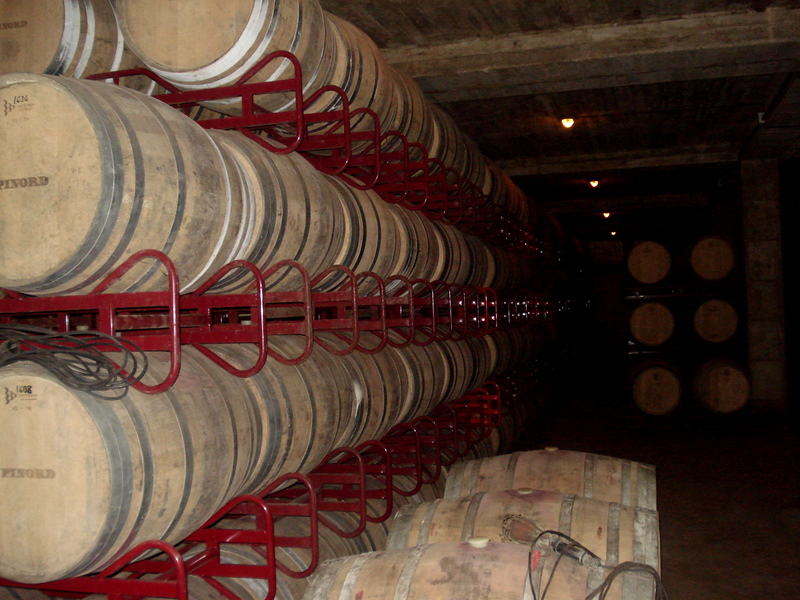 Bodegas Pinord Winery Shines Hope for Increasing Spanish Wine Tourism ...