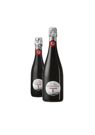 Reggiano DOC Lambrusco Rosso Secco "IL Signor Campanoe" - WinePleasures.com